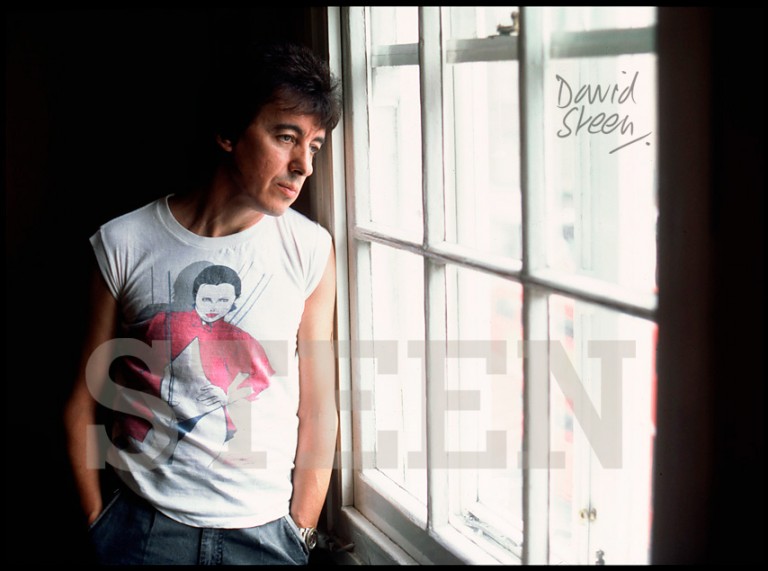 Products | THE DAVID STEEN ARCHIVE